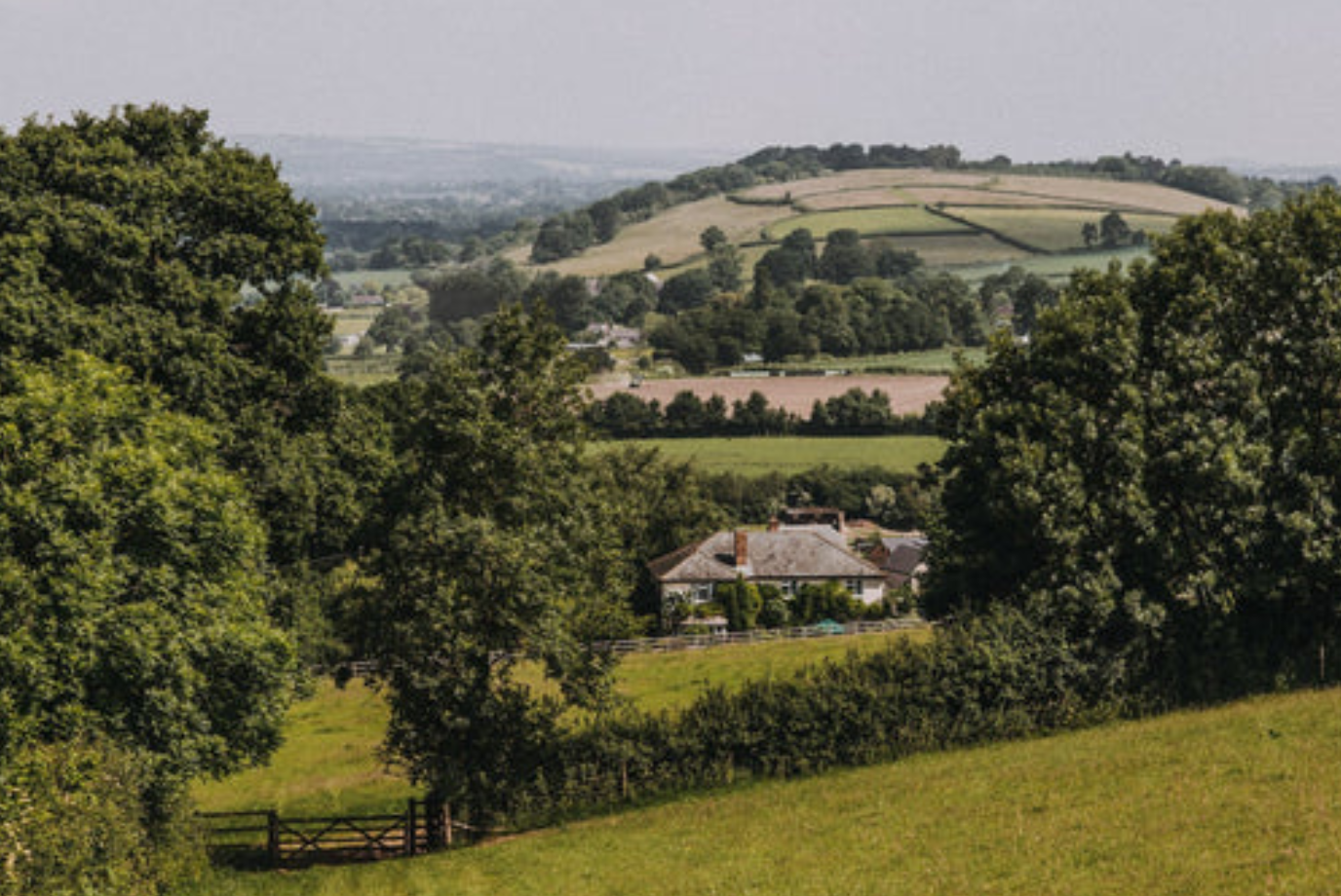 The Slow Disappearance of Small Family Farms | Pipers Farm