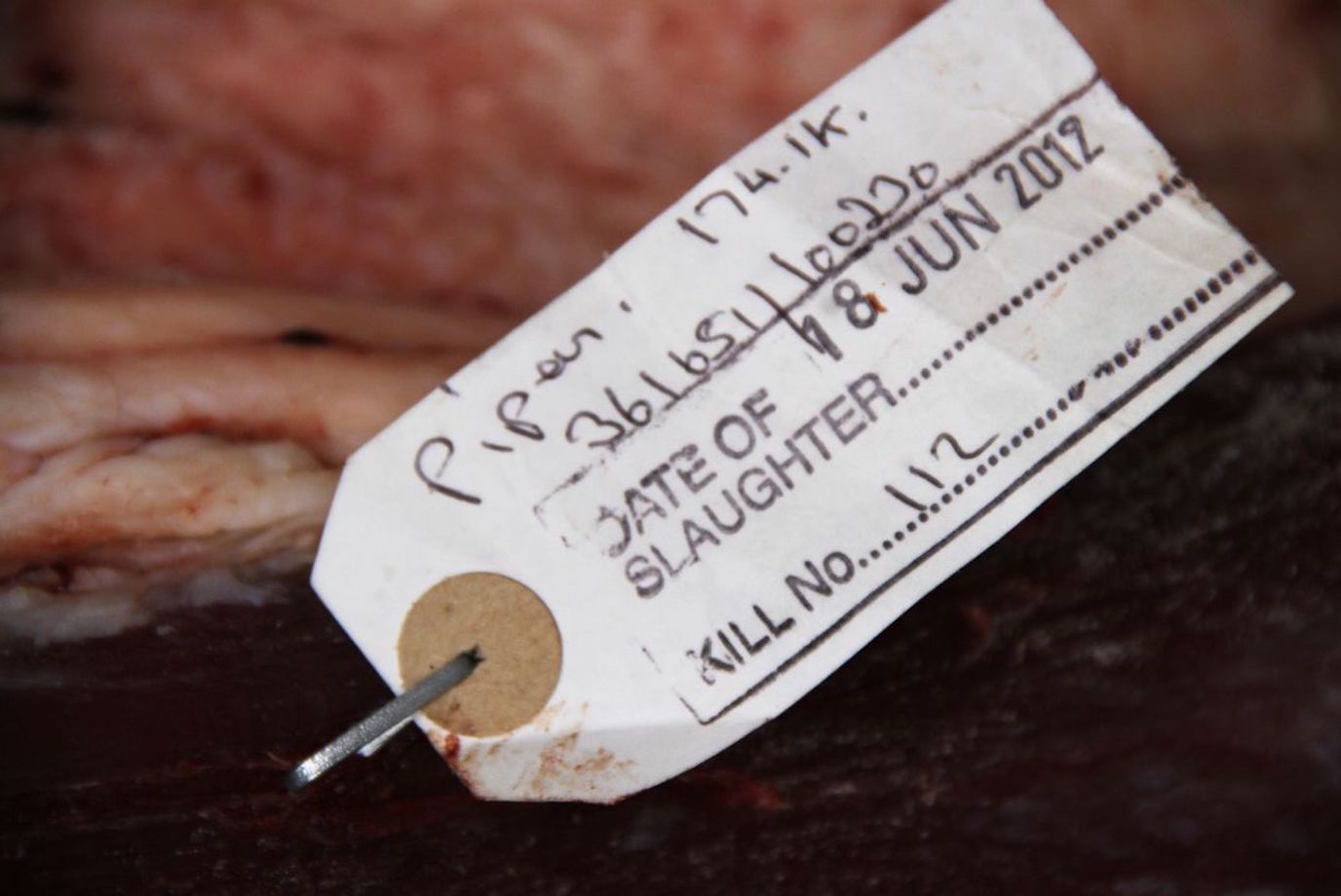 Why Small Abattoirs are a Vital Part of a Sustainable Food Chain ...